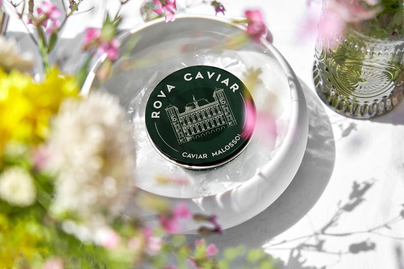 Perfect Pairings : What to Drink with Caviar ? | Rova Caviar