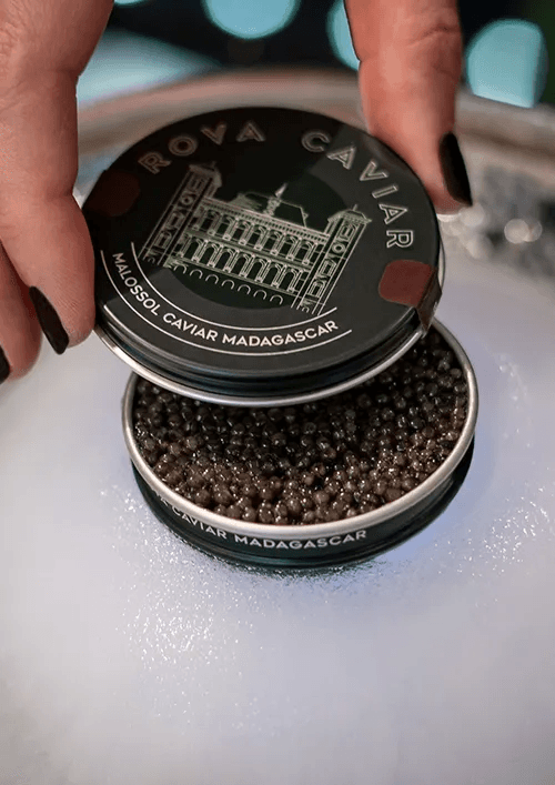 Rova Caviar | Official Website